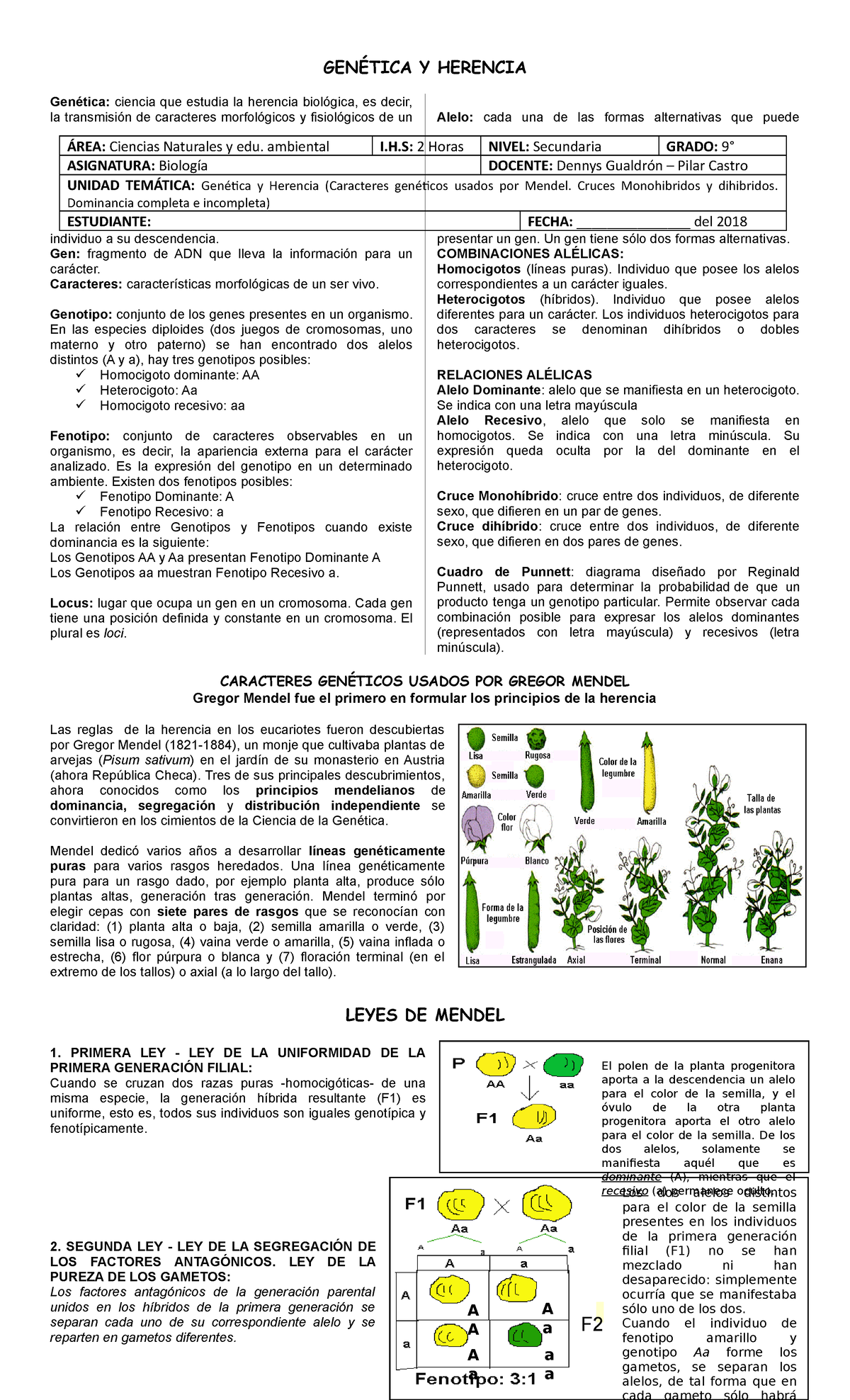 Guía 1. Caracteres geneticos de Mendel. Cruces - GENÉTICA Y HERENCIA ...