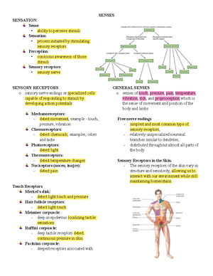 THE Nervous System - THE NERVOUS SYSTEM The nervous system as a ...