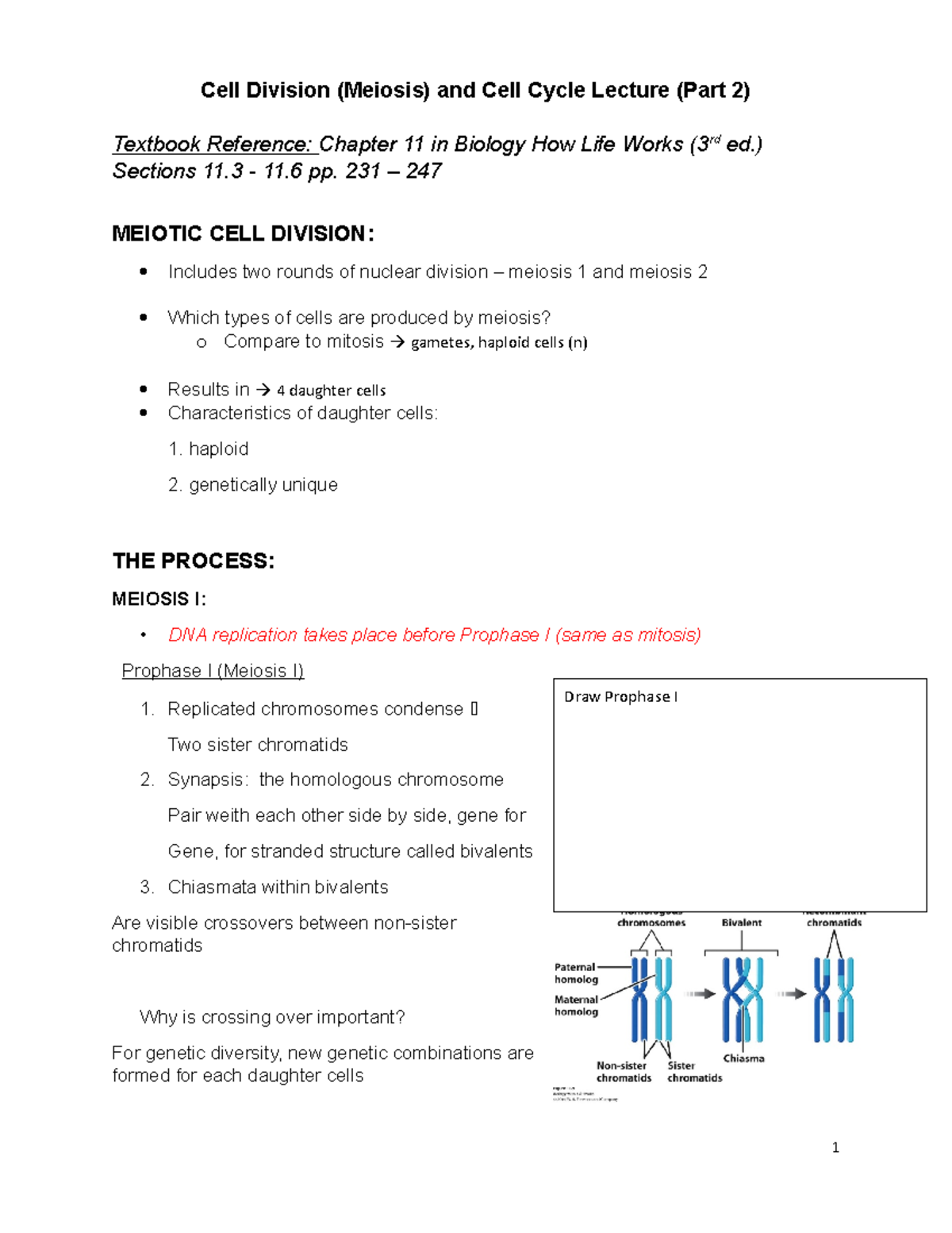 CH11 Cell Division and Cell Cycle part 2 - Cell Division (Meiosis) and ...