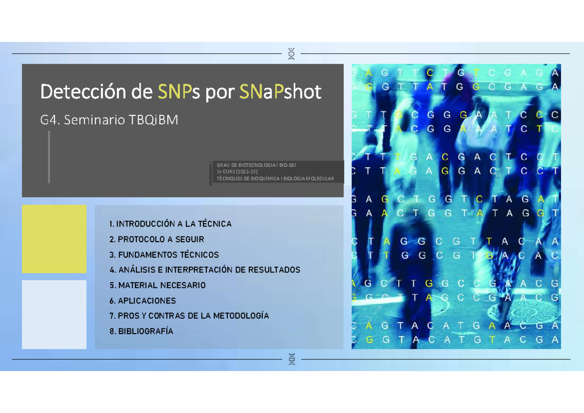 SNa Pshot - Detección de SNPs por SNaPshot G4. Seminario TBQiBM INTRODUCCIÓN A LA TÉCNICA ...