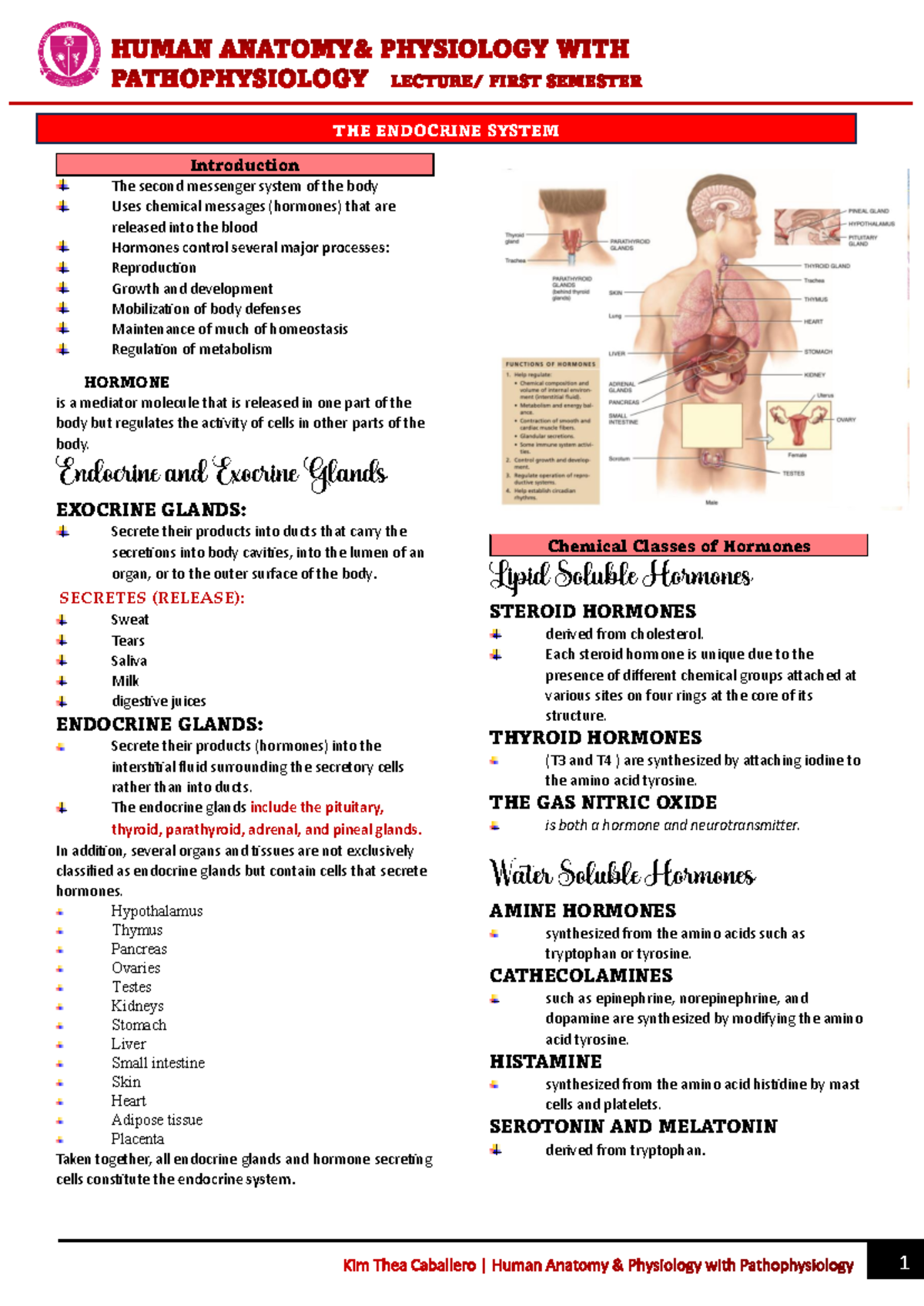 Anaphy Transes Finals - PATHOPHYSIOLOGY LECTURE/ FIRST SEMESTER ...