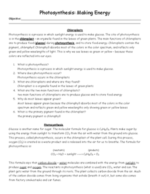 Chapter 3 Guided Reading - Chapter 3: The Molecules of Life Copyright ...