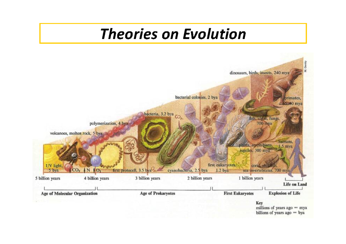 2017 Theories on Evolution 1 - CMY 133 - UP - Studocu