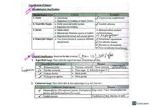 Biochemistry Written assignment 1 - Large molecules known as ...