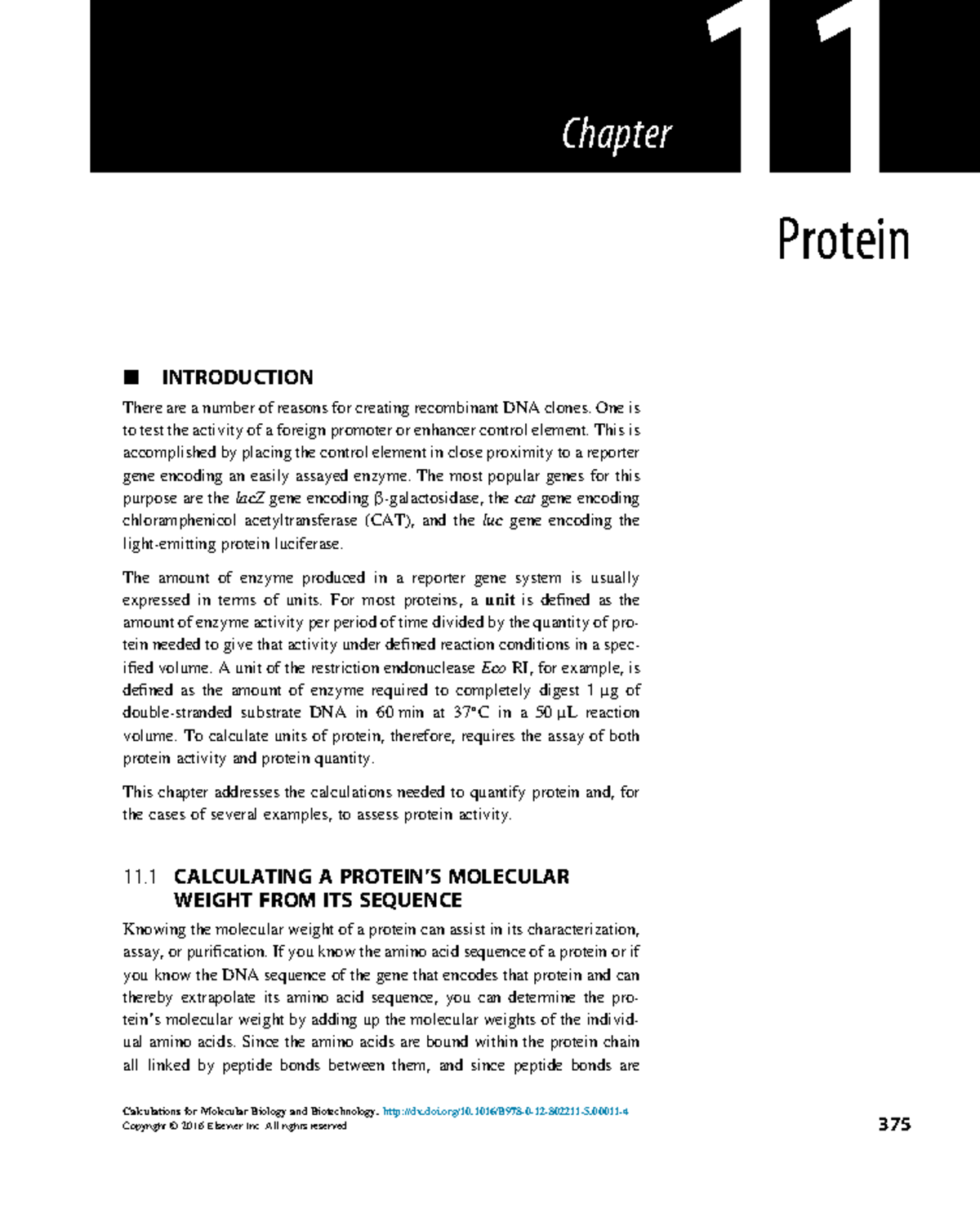 Chapter-11-Protein 2016 Calculations-for-Molecular-Biology-and ...
