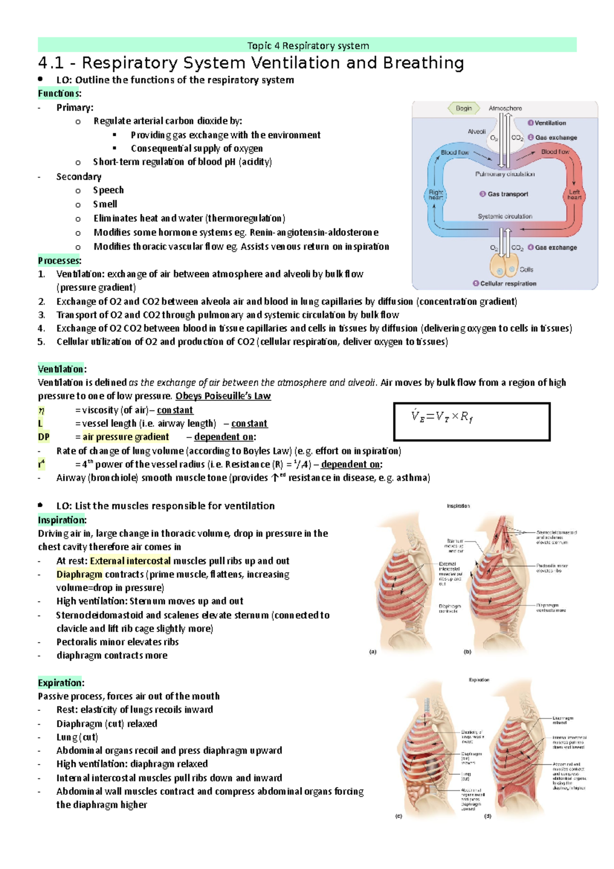 Topic 4 Respiratory system - Topic 4 Respiratory system 4 - Respiratory ...
