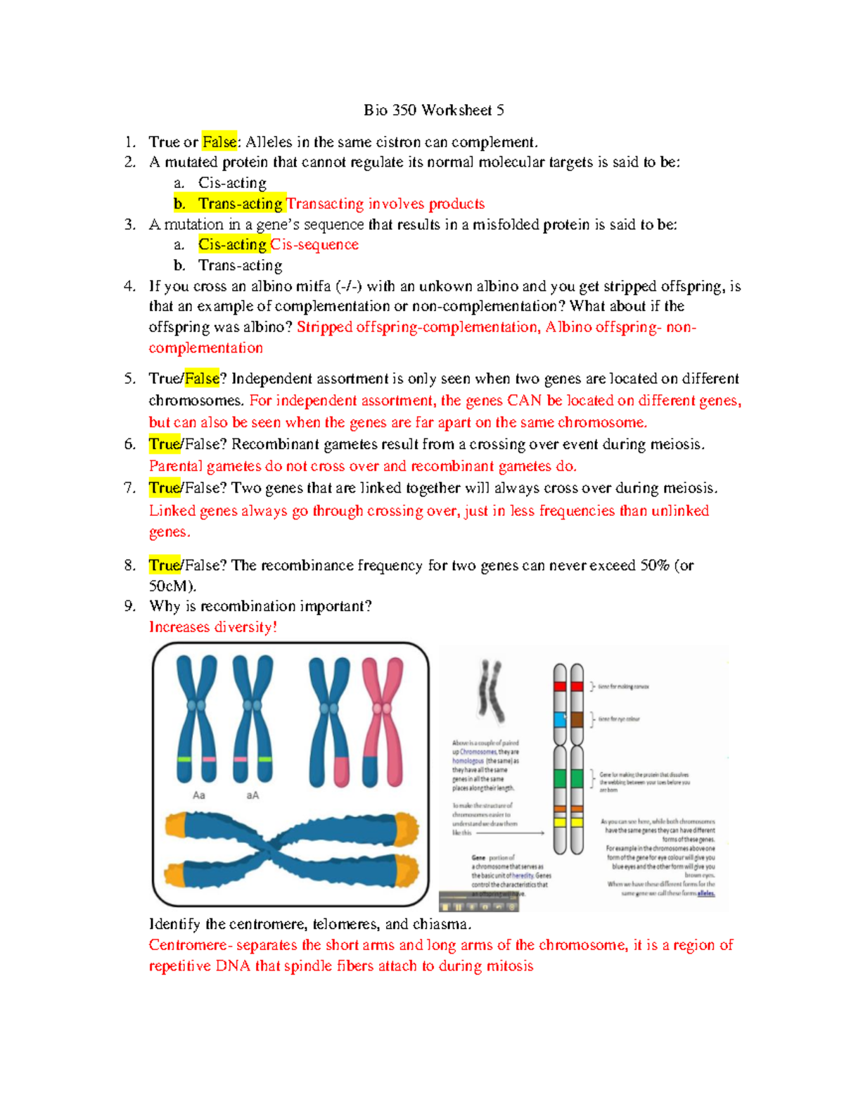 Worksheet 5 Review+Recombination Key - Bio 350 Worksheet 5 True or ...