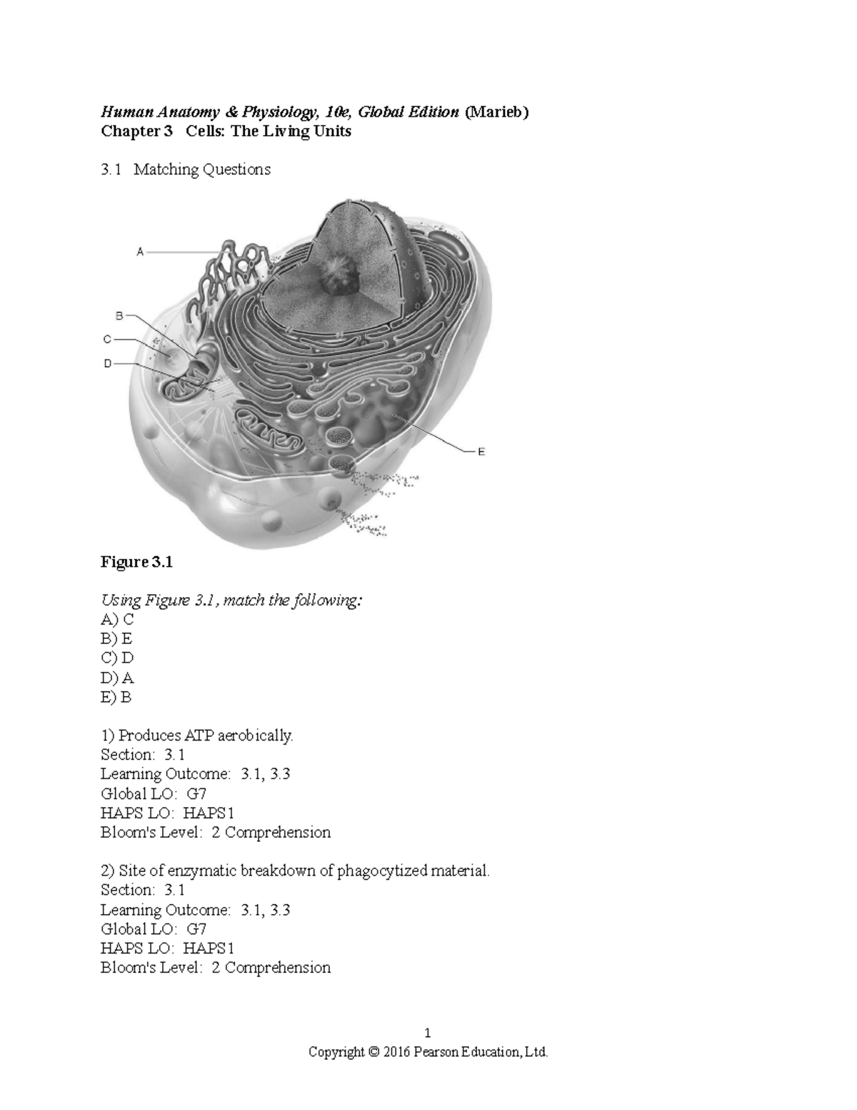 Ch 03 test bank - test banks - Human Anatomy & Physiology, 10e, Global ...