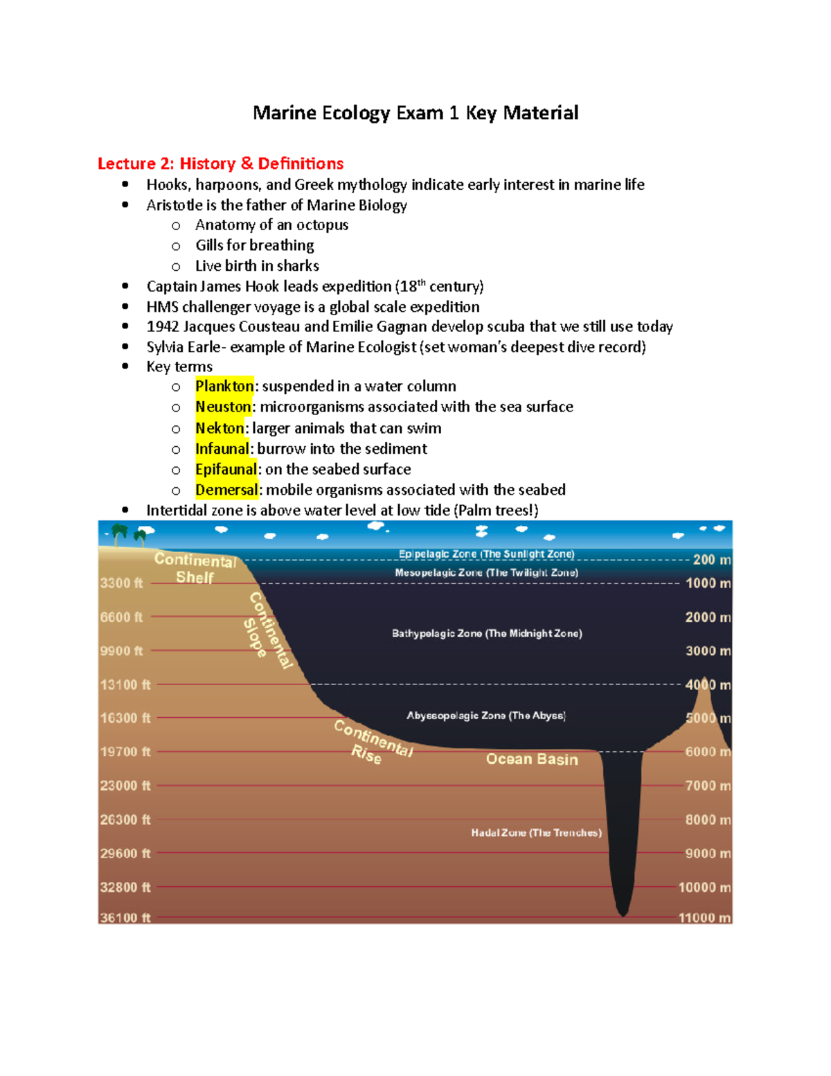Marine Ecology Exam 1 Material - Marine Ecology Exam 1 Key Material ...