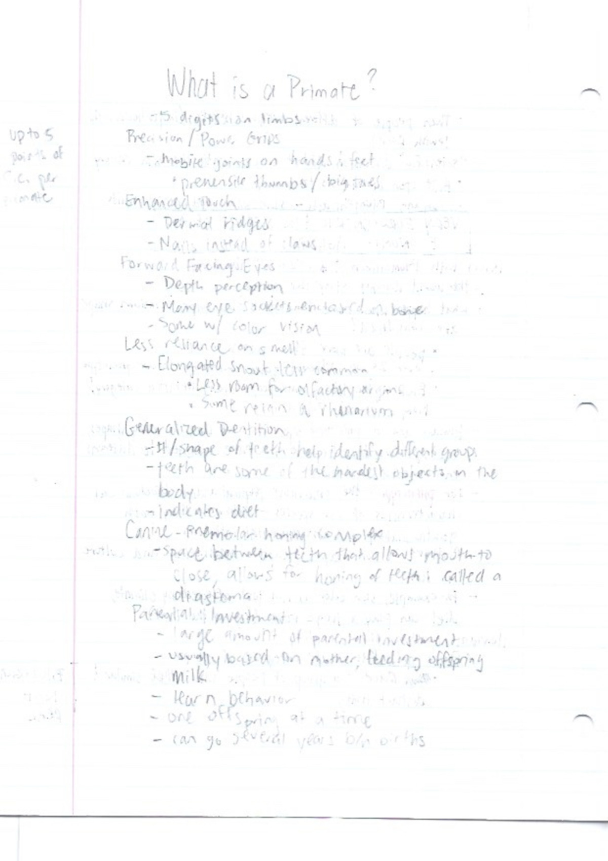 What Is A Primate? - “use? :g;7 ‘ :mggﬁ: ! £35— ‘jéu 144g” b/I ‘ImbS 7 ...