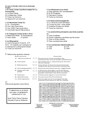 Cuadernillo Ciencias Naturales 10 1 - 2020 Tiempo de aplicación: 1 hora 20 N.° de preguntas ...