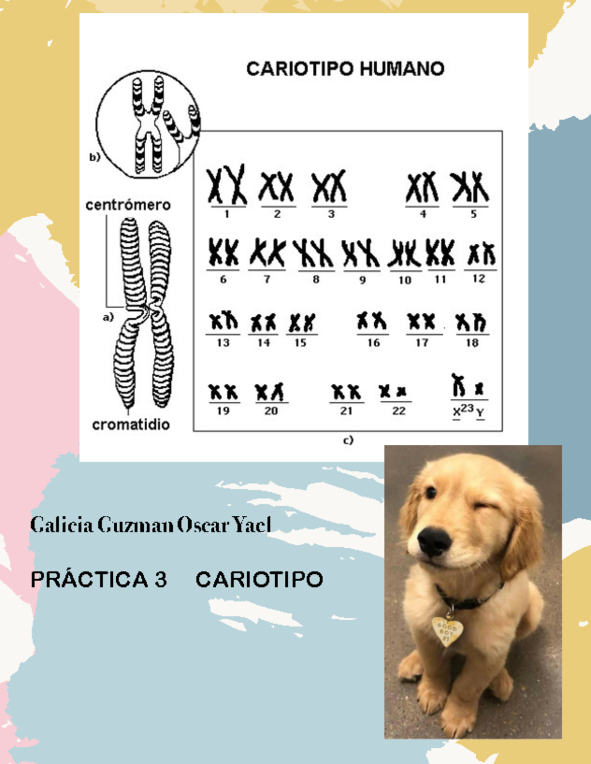 Práctica 3 2024 pdf - ddd - Mejoramiento genetico - Galicia Guzman Oscar Yael PRÁCTICA 3 ...