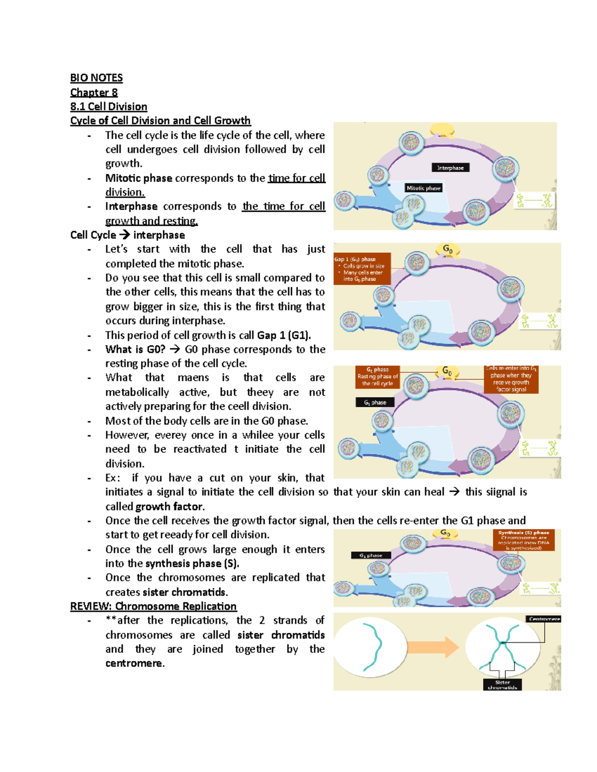 BIO 202 LECTURE/CHAPTER 8 NOTES - CELLS - BIO 202 - Concordia - Studocu