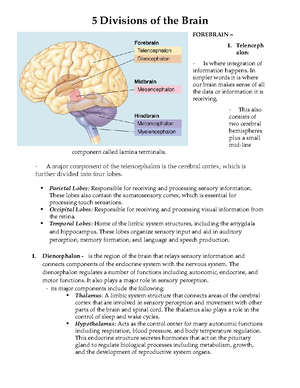 Cogpsych Prelim Notes - School of Thought - STRUCTURALISM HISTORY ...