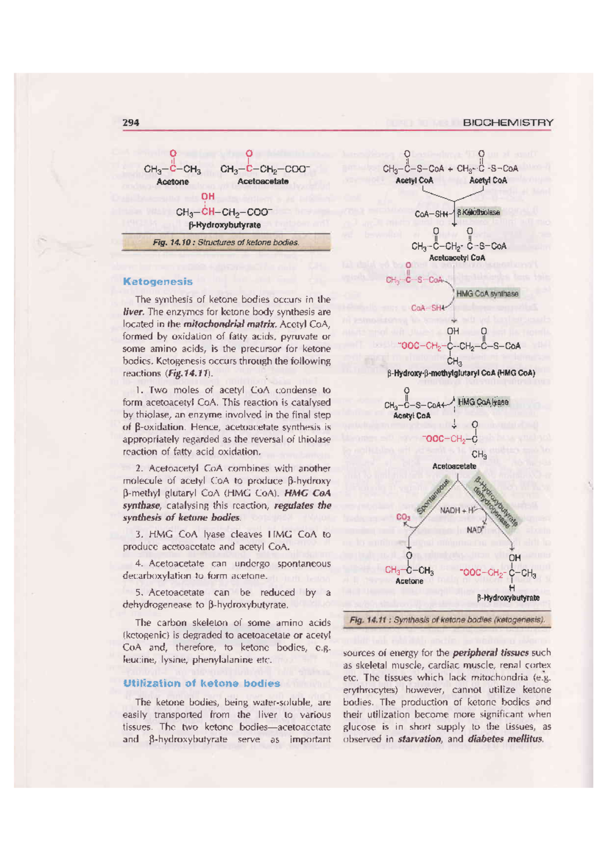 Biochemistry satyanarayana chakrapani cbbxch (1)-34 - ####### 294 ...