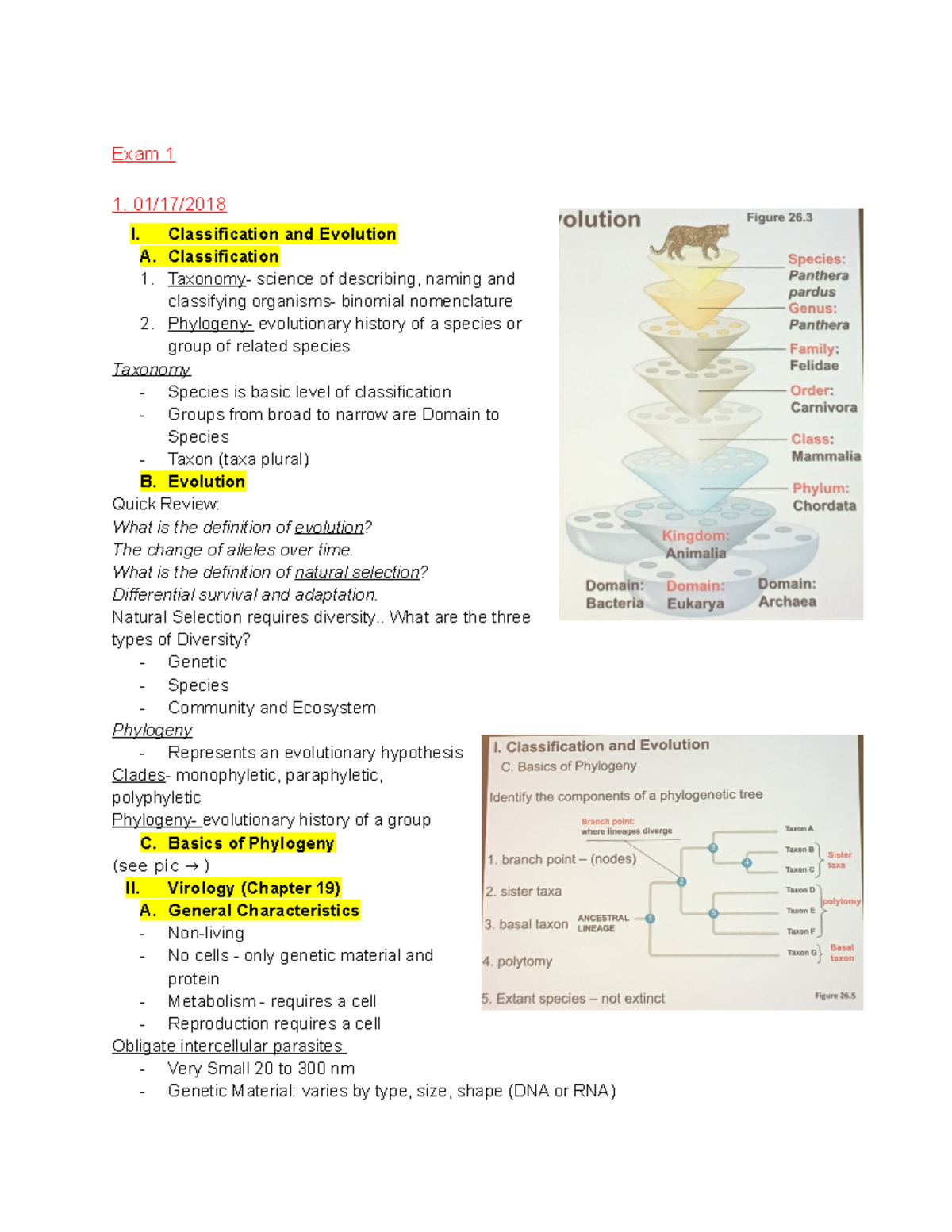 Gen bio 2 notes 3 - Exam 1 1. 01/17/ I. Classification and Evolution A ...