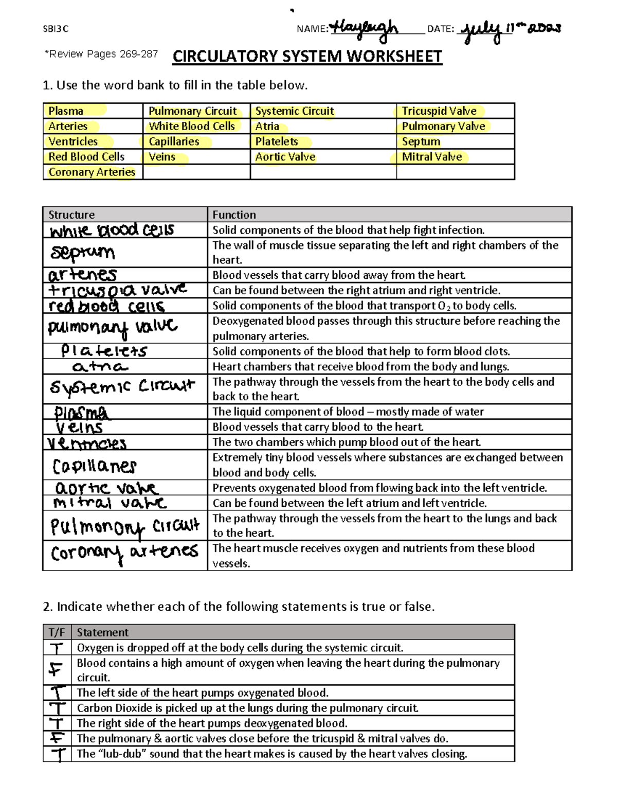 Circulatory-system-worksheet-package 2 - Biology 1001A - UWO - Studocu
