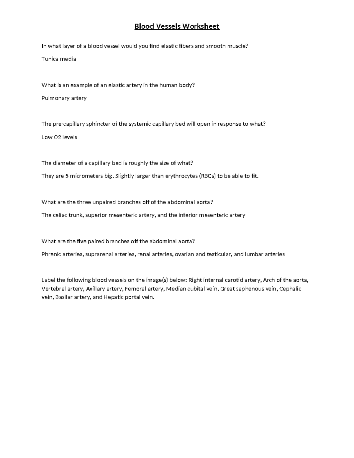 Blood Vessels assignment (worksheet) - In what layer of a blood vessel ...