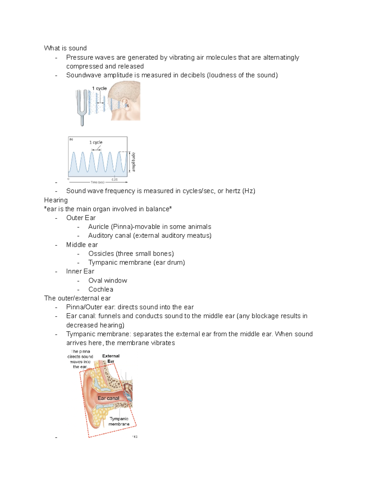 Sensory lecture 4 Hearing - What is sound - Pressure waves are ...
