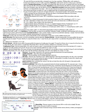 BIO220 Exam 2 Cheat Sheet -Transcription: DNA to RNA Translation: RNA ...