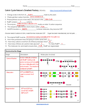 Anthony Milacci - BOX 9 Calculate Impact of Credit Score on Loans ...