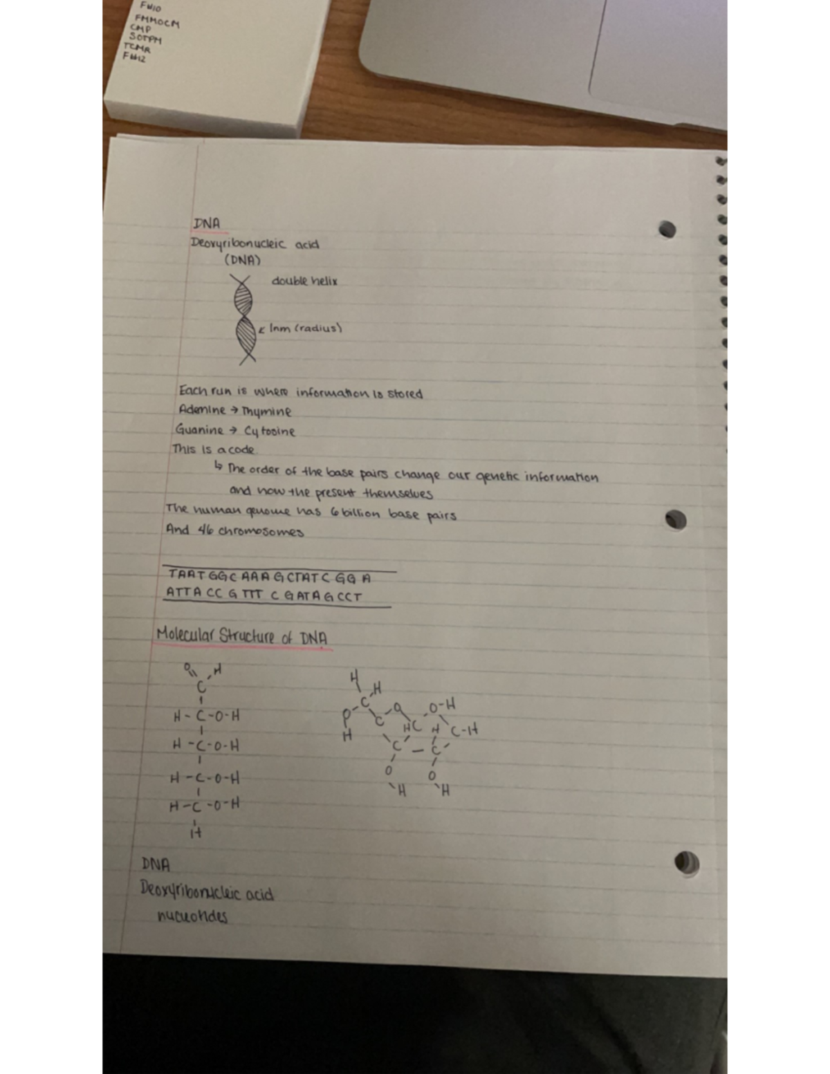 POLS #1 - Notes - DNA Deoxyribonucleic acid (DNA) double helix K Inm ...
