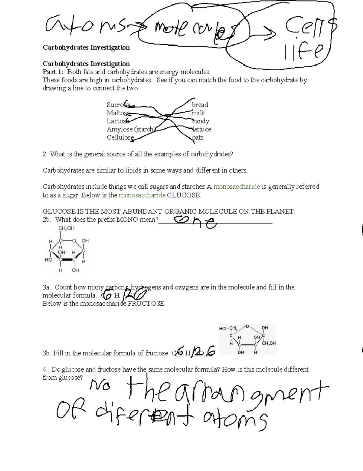 Carbs Investigation+ - nnn - Carbohydrates Investigation Carbohydrates ...