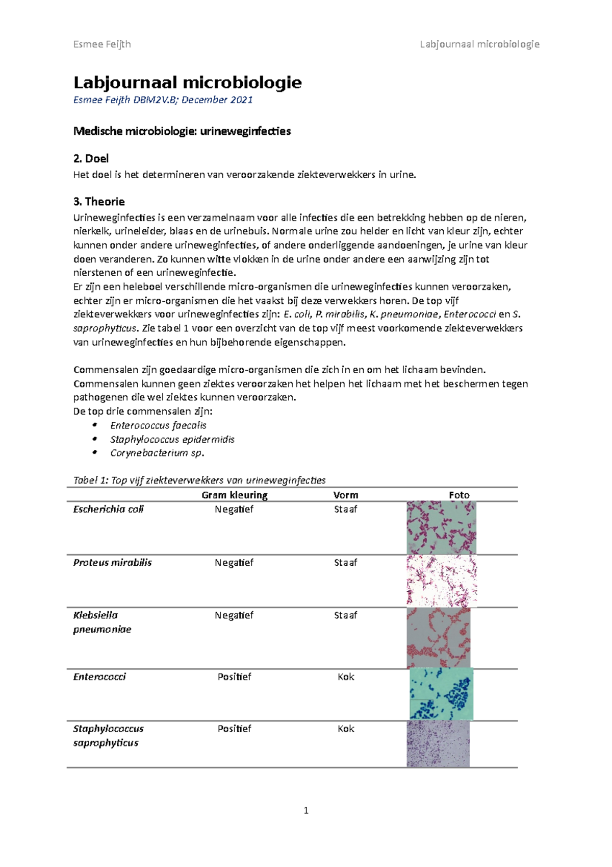 Compleet Labjournaal Microbiologie - Labjournaal microbiologie Esmee ...