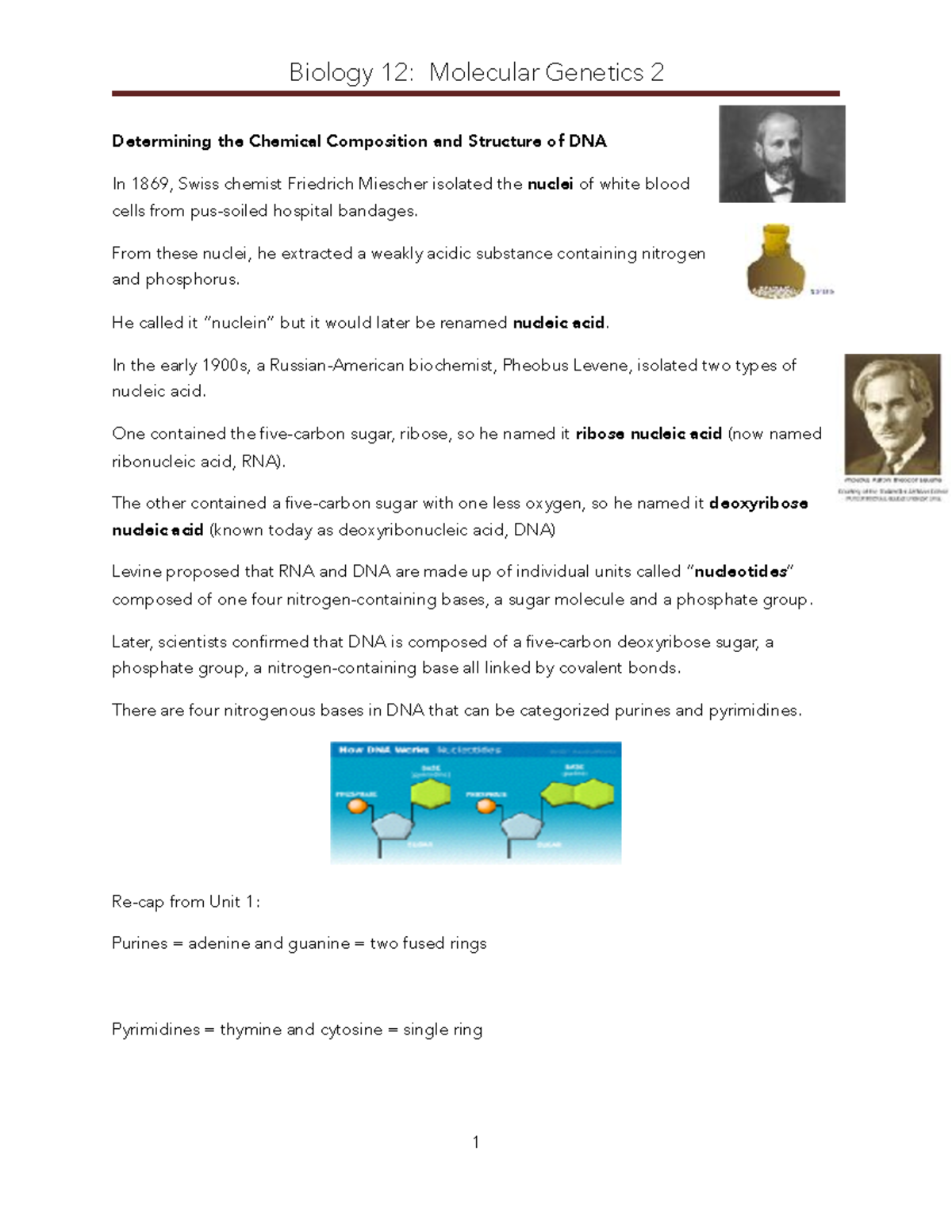 Molecular Genetics Lesson 2 notes - Determining the Chemical ...