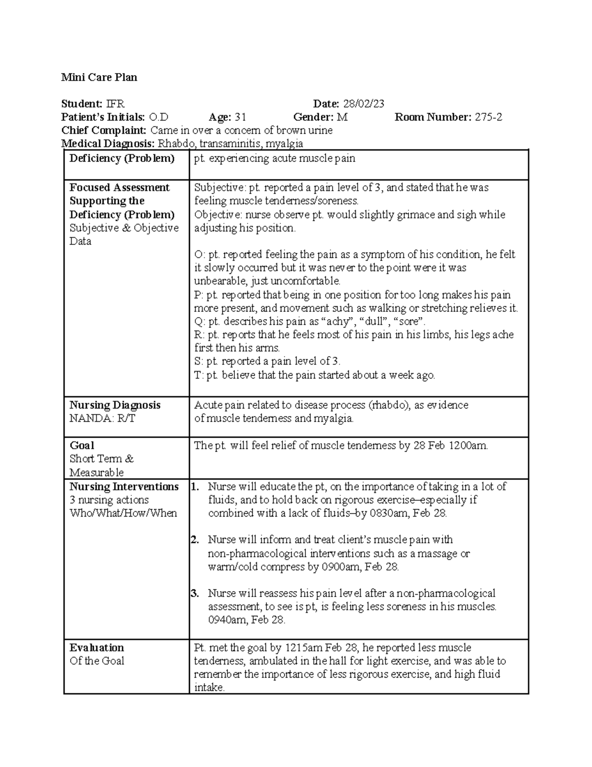 Mini+Care+Plan+Template - Mini Care Plan Student: IFR Date: 28/02 ...