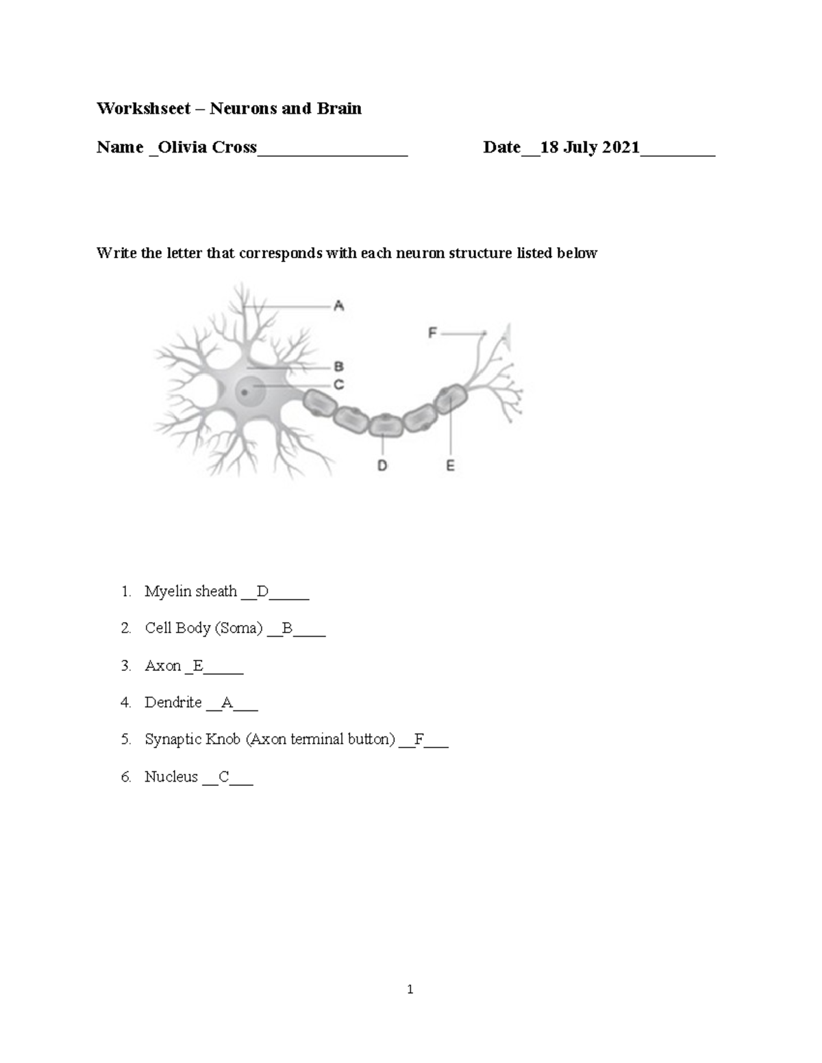 Worksheet 1 - LAB - Workshseet – Neurons and Brain Name Olivia Cross ...