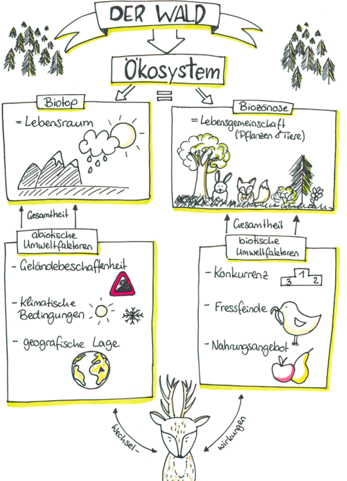 Ökologie - Biologie - Studocu