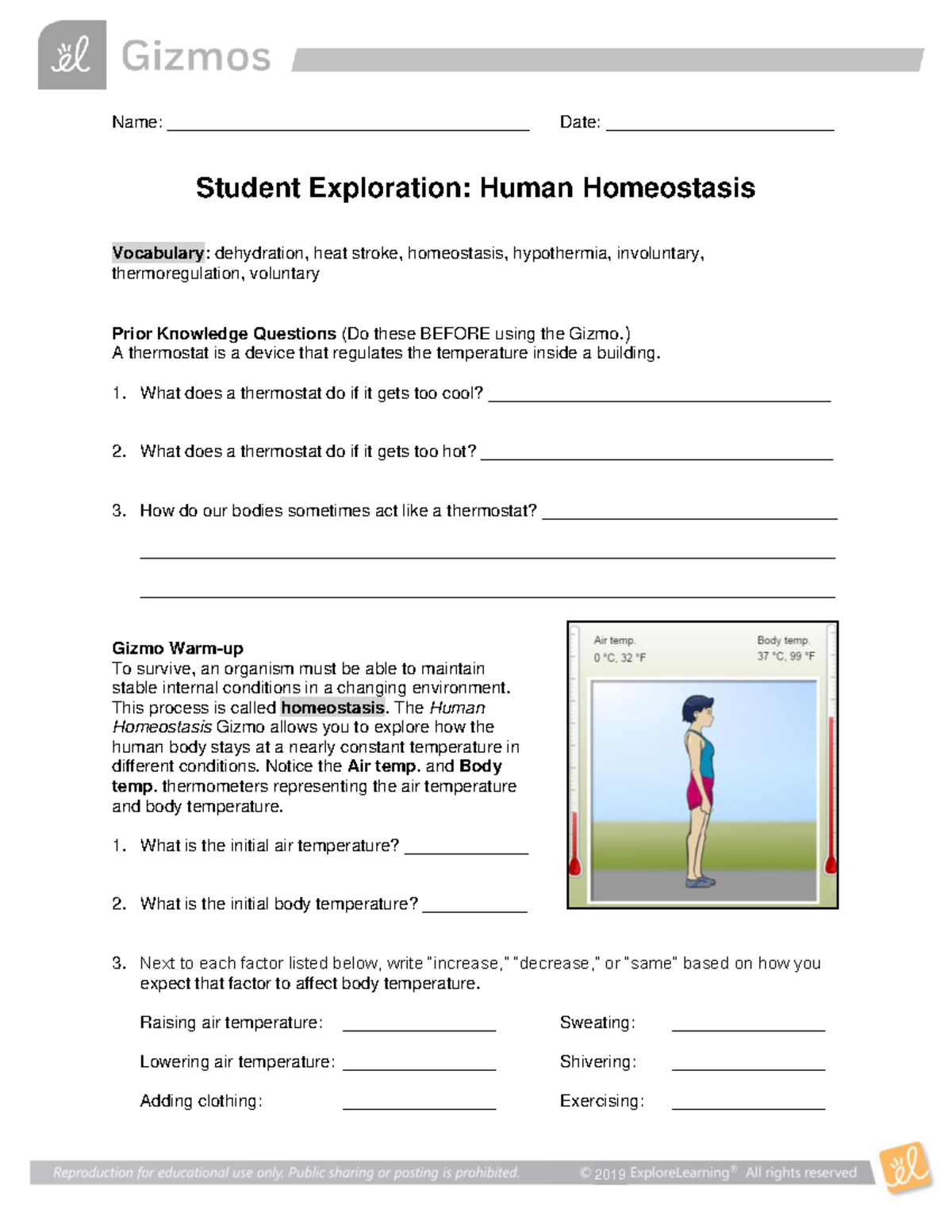 Gizmo- Human Homeostasis SE - Name ...