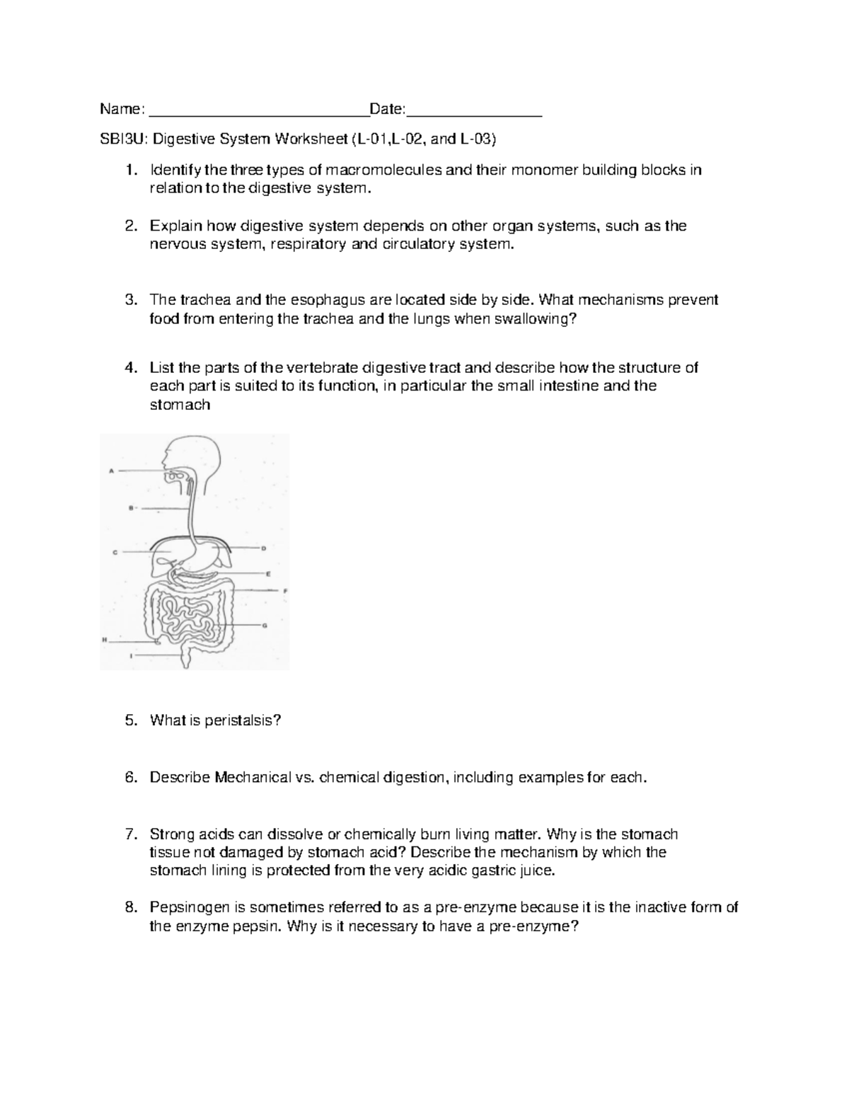 L 01 L 02 L 03 Worksheet 1 homework and test - Name: __________Date ...