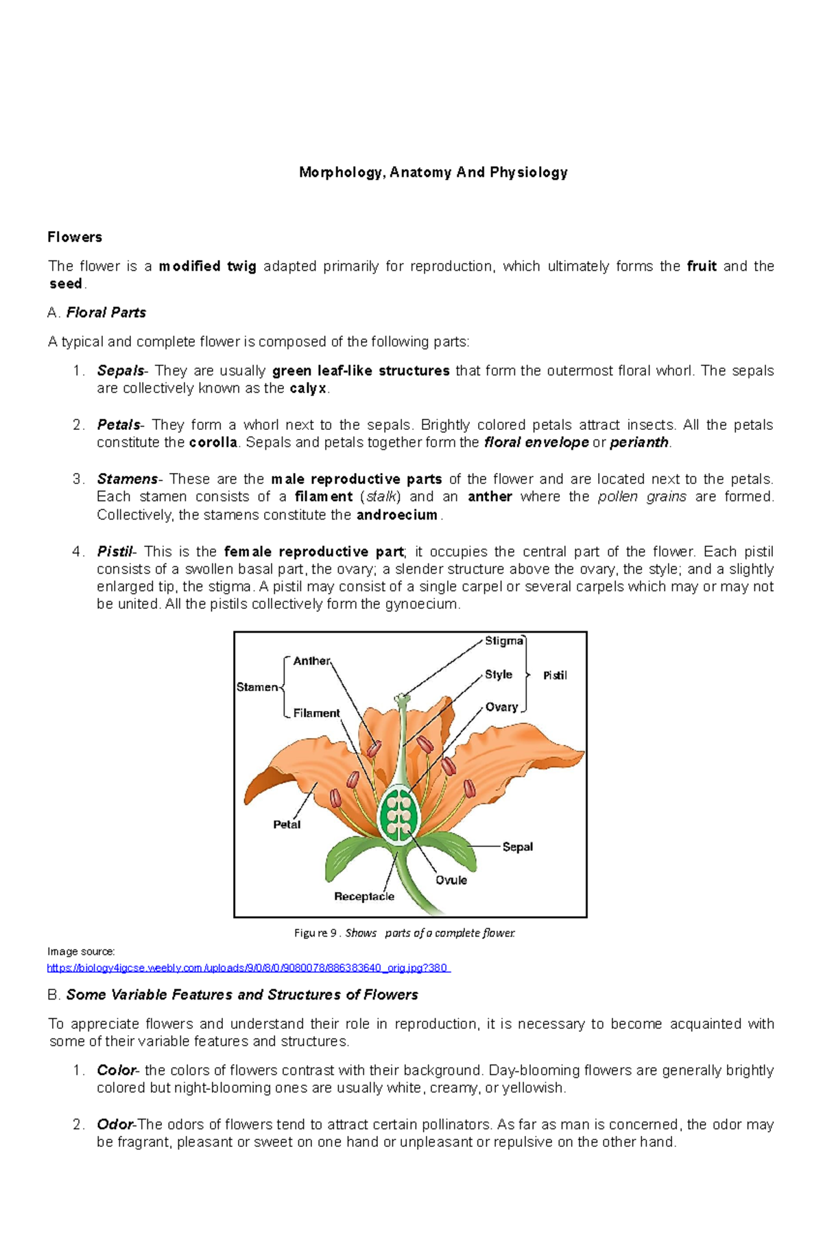 Morphology, Anatomy And Physiology - Morphology, Anatomy And Physiology ...