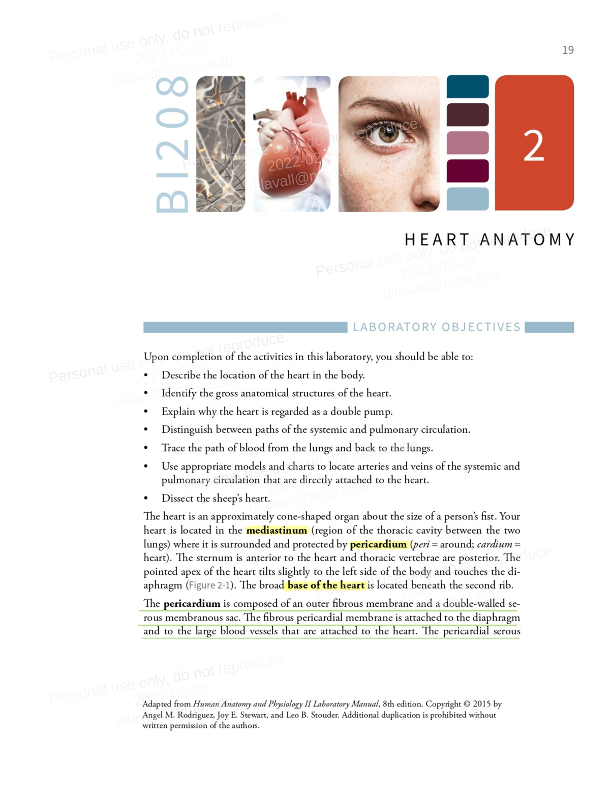 Lab 2 - Heart Anatomy - notes - BI 112 - O O O O O : : - Studocu
