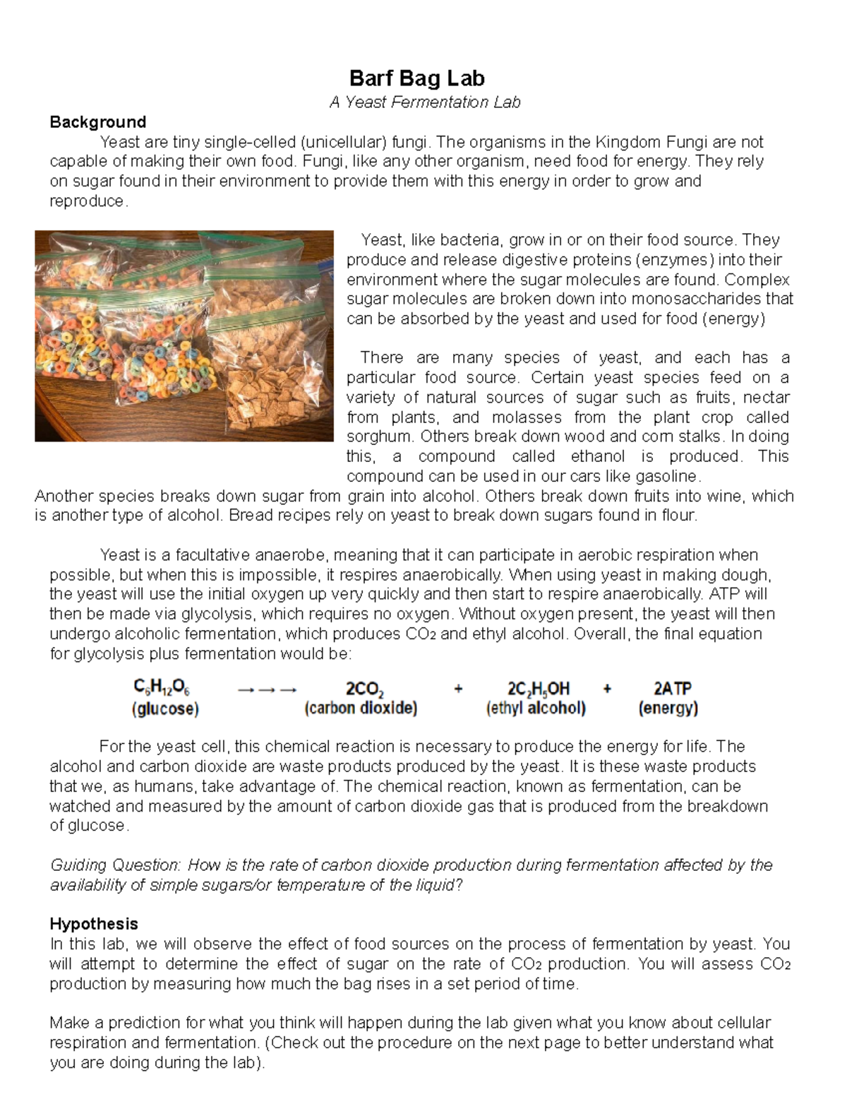 Barf Bag Lab 1 - THis was a HW assignment - Barf Bag Lab A Yeast ...