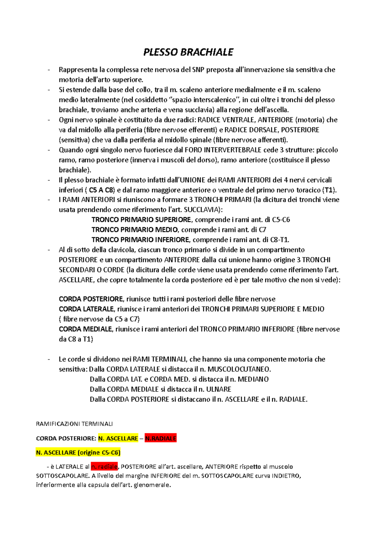 Plesso brachiale - lkm4g4èkkng4gtrl gg - PLESSO BRACHIALE Rappresenta ...