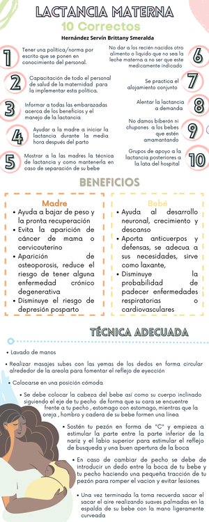 Desarrollo embrionario - Embrion:la fecundacion se completa, se crea la ...