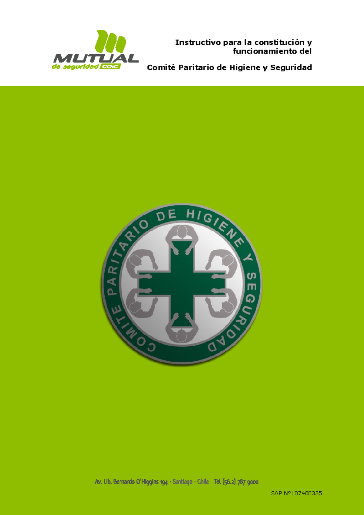 Instructivo CPHS - Instructivo para la constitución y funcionamiento ...