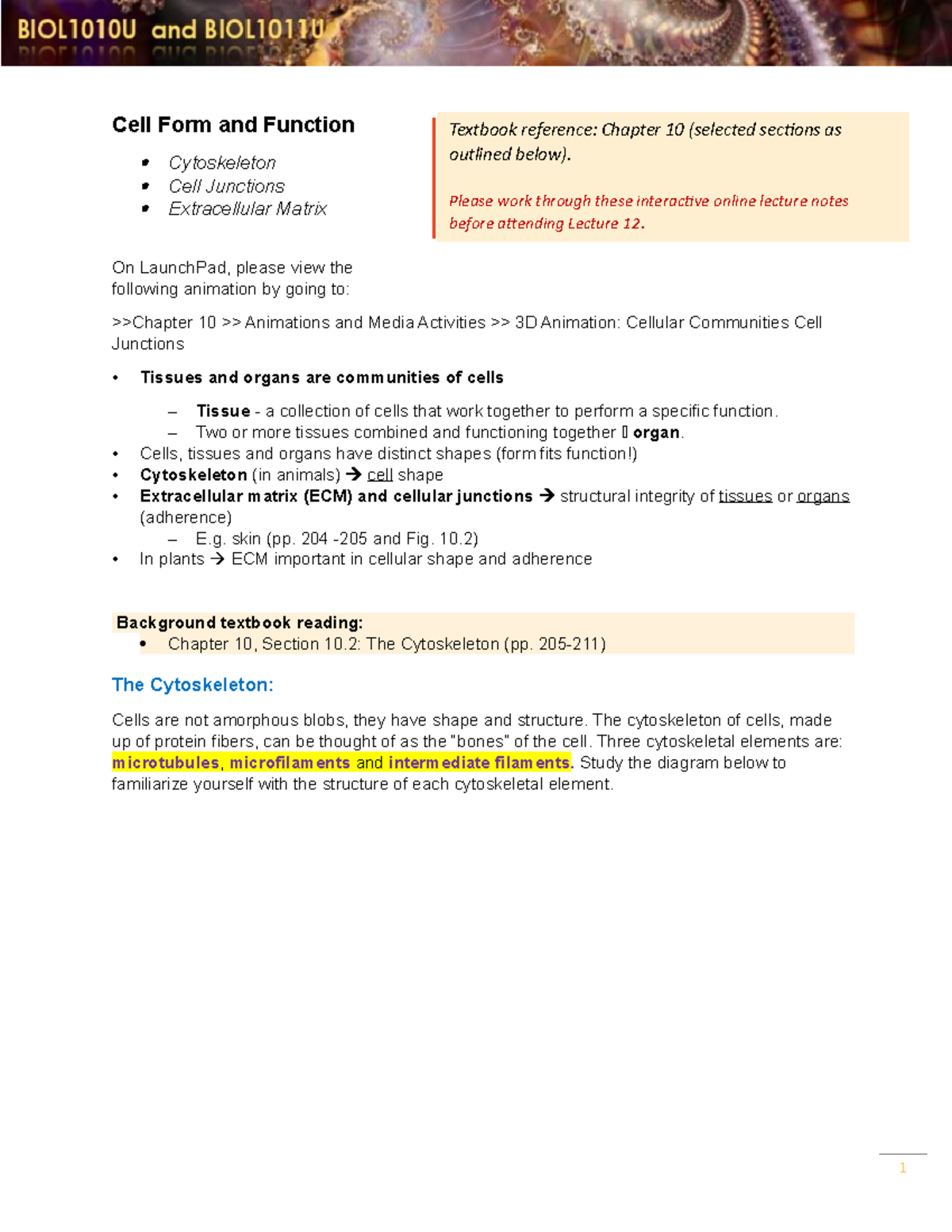 L12 Cell Form Function Interactive notes 2022 - Cell Form and Function ...