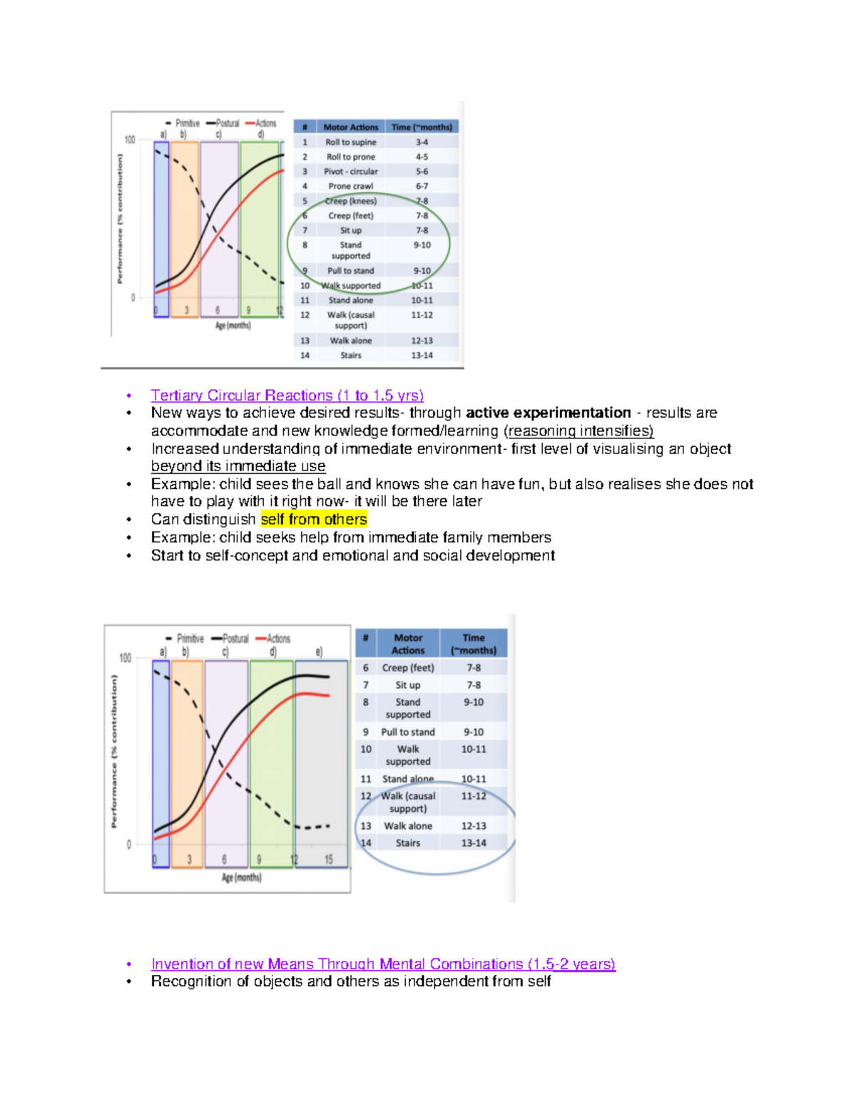Lec 7b Notes - Tertiary Circular Reactions (1 to 1 yrs) New ways to ...