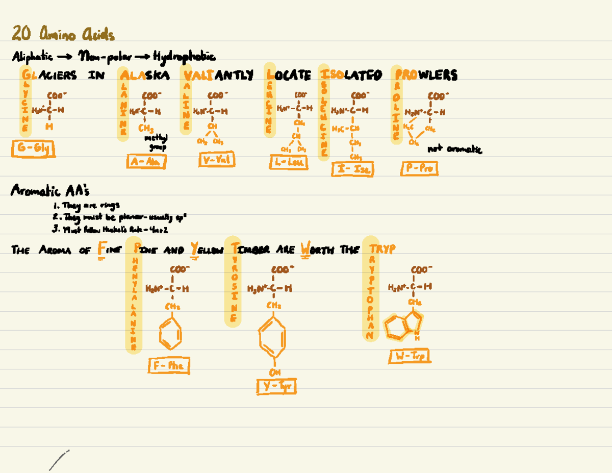 Amino Acids - This was utilized as review prior to taking the ACS Exam ...