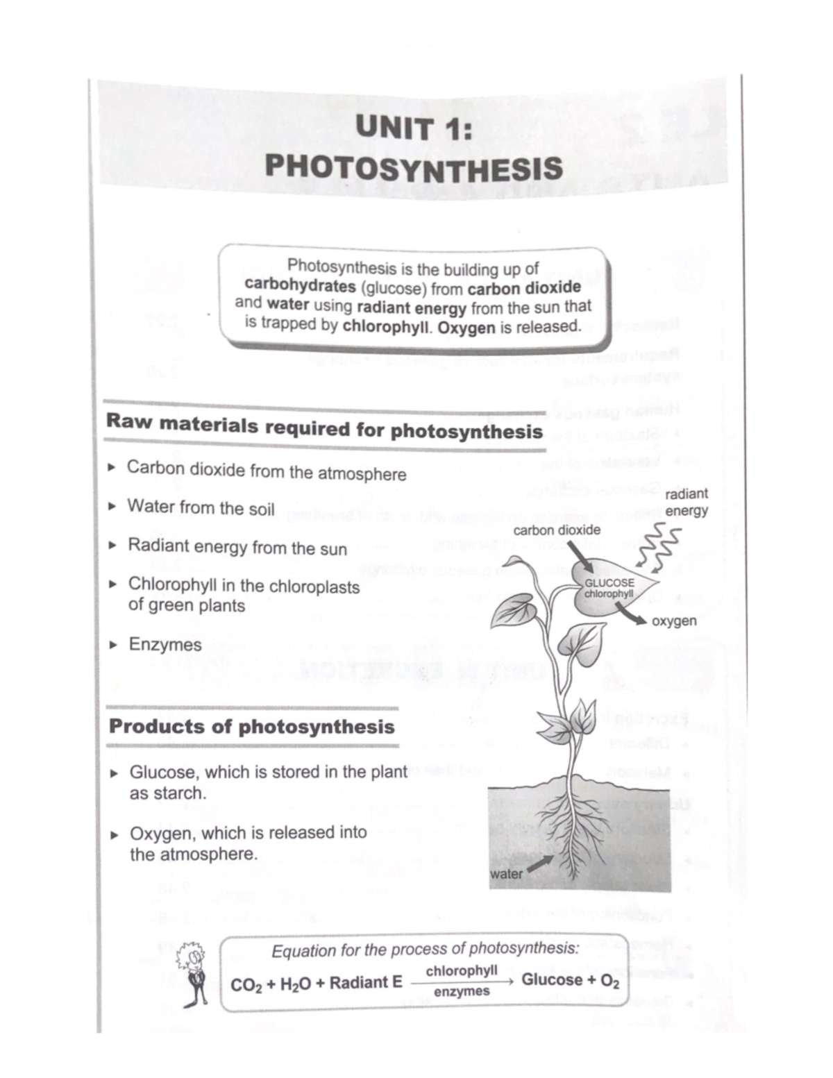 UNIT 1 - Life sciences notes - Studocu