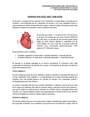 Netter 1 1a7 - Dibujos para colorear y teoría - Anatomía y Fisiología ...