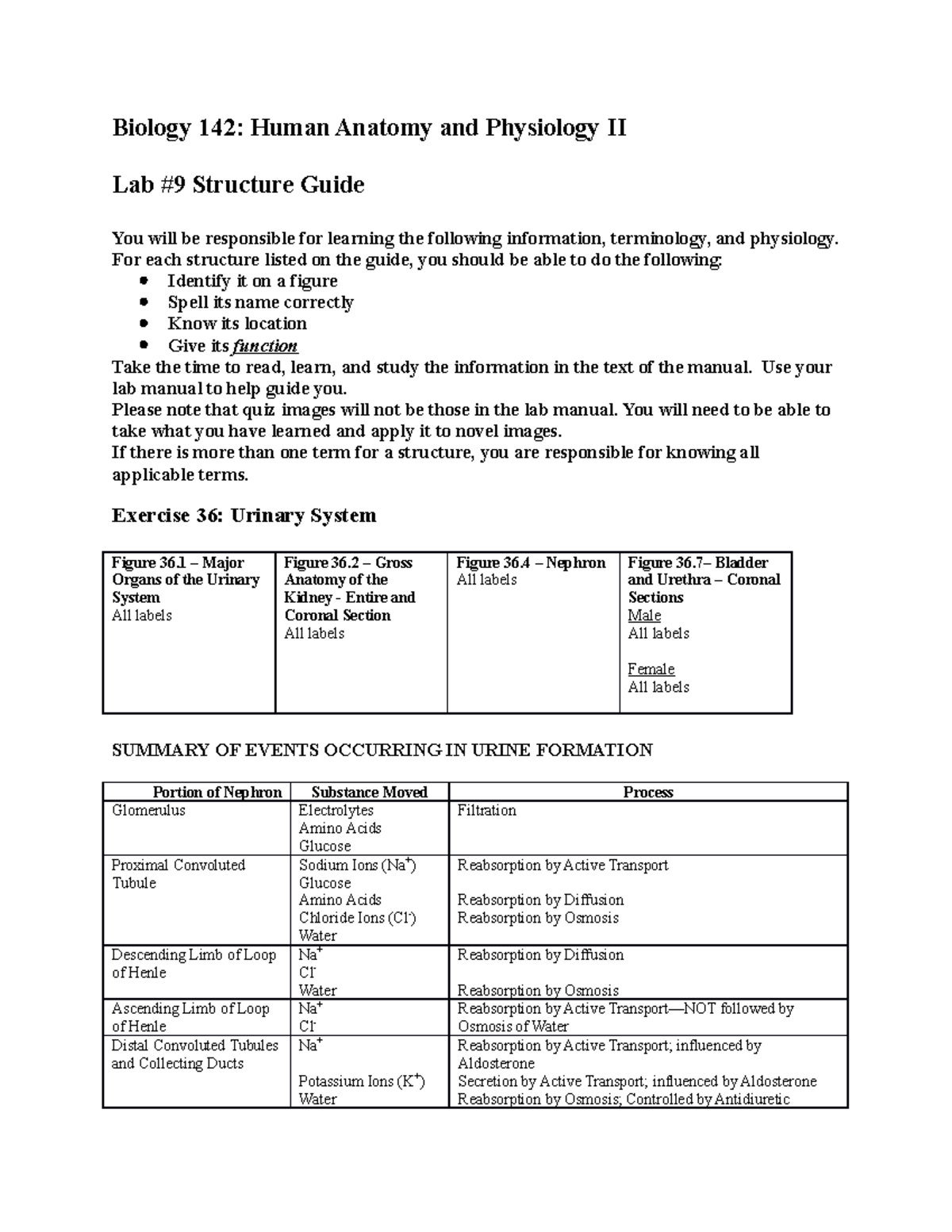 Lab 9 Structure Guide-1 - Biology 142: Human Anatomy and Physiology II ...