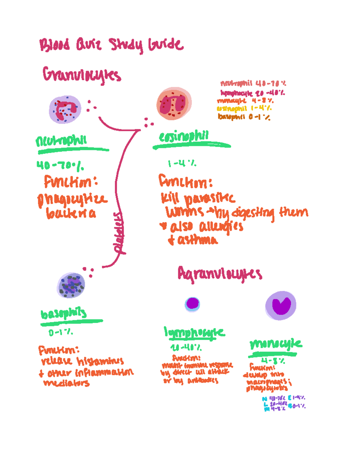 Blood Typing and Learning (Lab Material) - Blood Quiz Study Guide ...