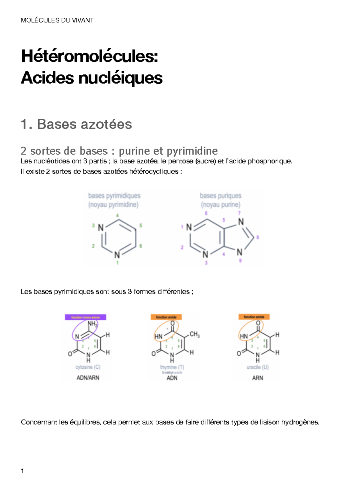 Hétéromolécules - cours sur les heteromolecules - Molécules du vivant 2 ...