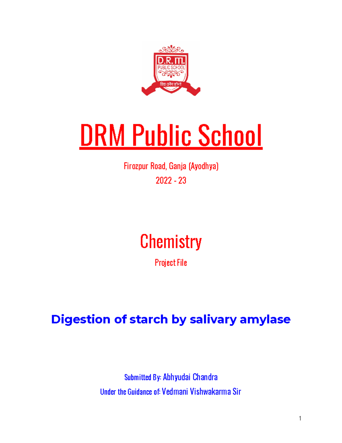 Chemistry Project File - DRM Public School Firozpur Road, Ganja ...
