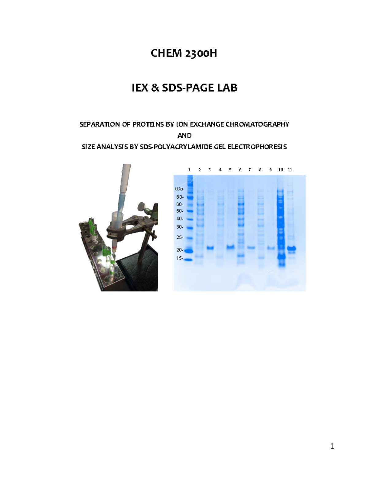 IEX & SDS-PAGE LAB 2024 - CHEM 2300H IEX & SDS-PAGE LAB SEPARATION OF ...
